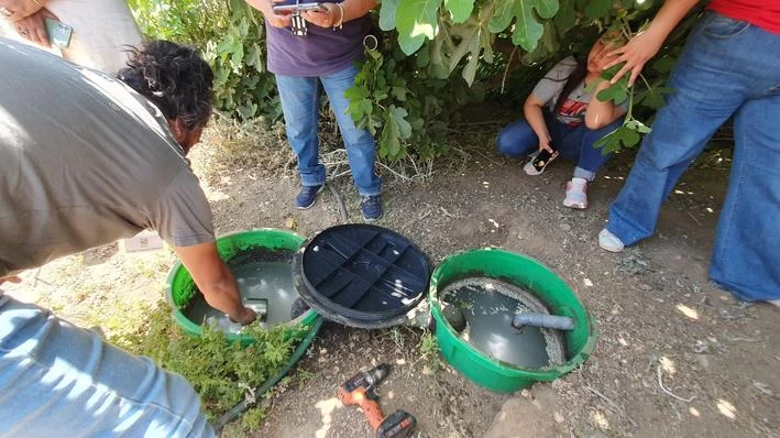 Biofiltro implementado por INIA Rayentué reutiliza aguas grises