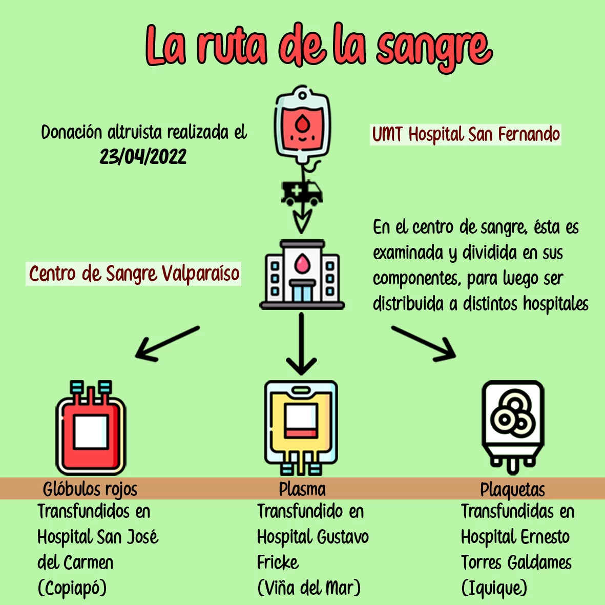 Conoce el funcionamiento de la Unidad de Medicina Transfusional (UMT ...