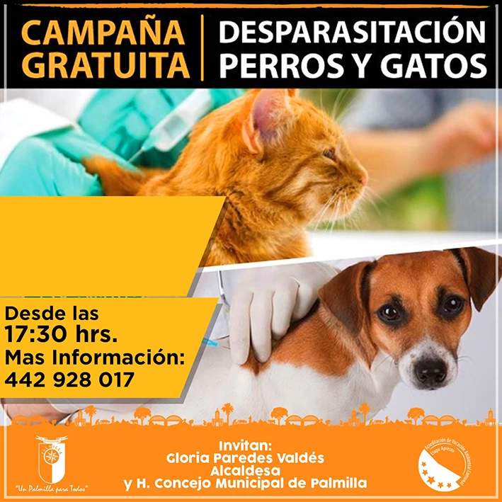 Comenzó programa de desparasitación en Palmilla