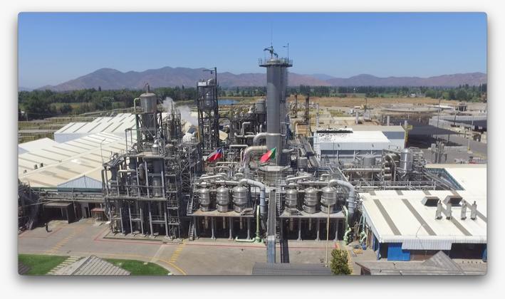 Empresa Sugal Chile ofrece más 1.200 empleos en Región de OŽHiggins