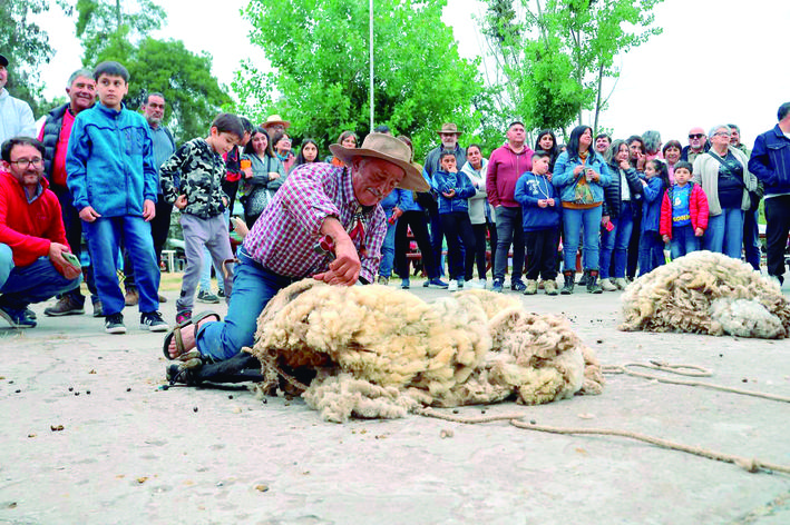 Carabineros de Santa Cruz refuerza la prevención del uso de hilo curado