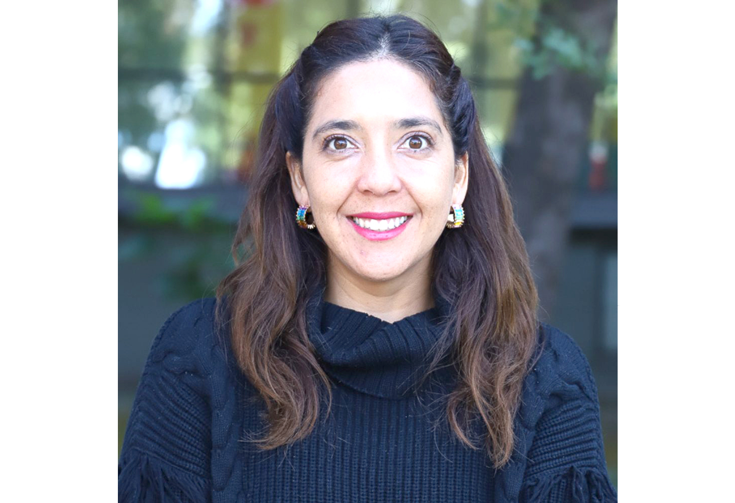 Educación Cívica en Diario Sexta Región: La figura del Presidente de la ...