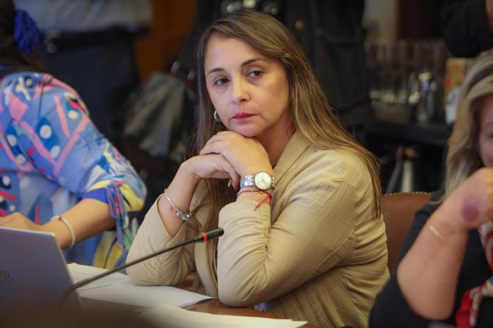 Diputada Carla Morales exige mayor transparencia sobre programas para ...