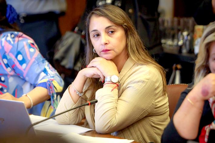 Diputada Carla Morales: "Es inaceptable que unos pocos abusen del ...